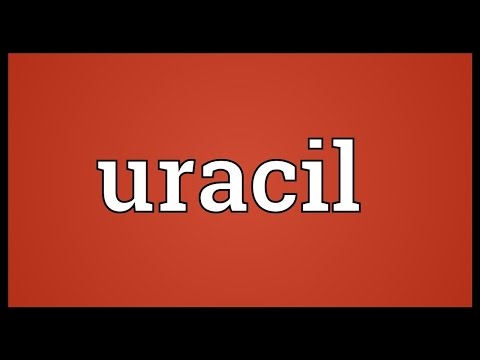 Uracil Meaning