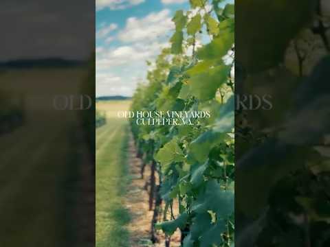 Most Beautiful Winery in VA 🍷
