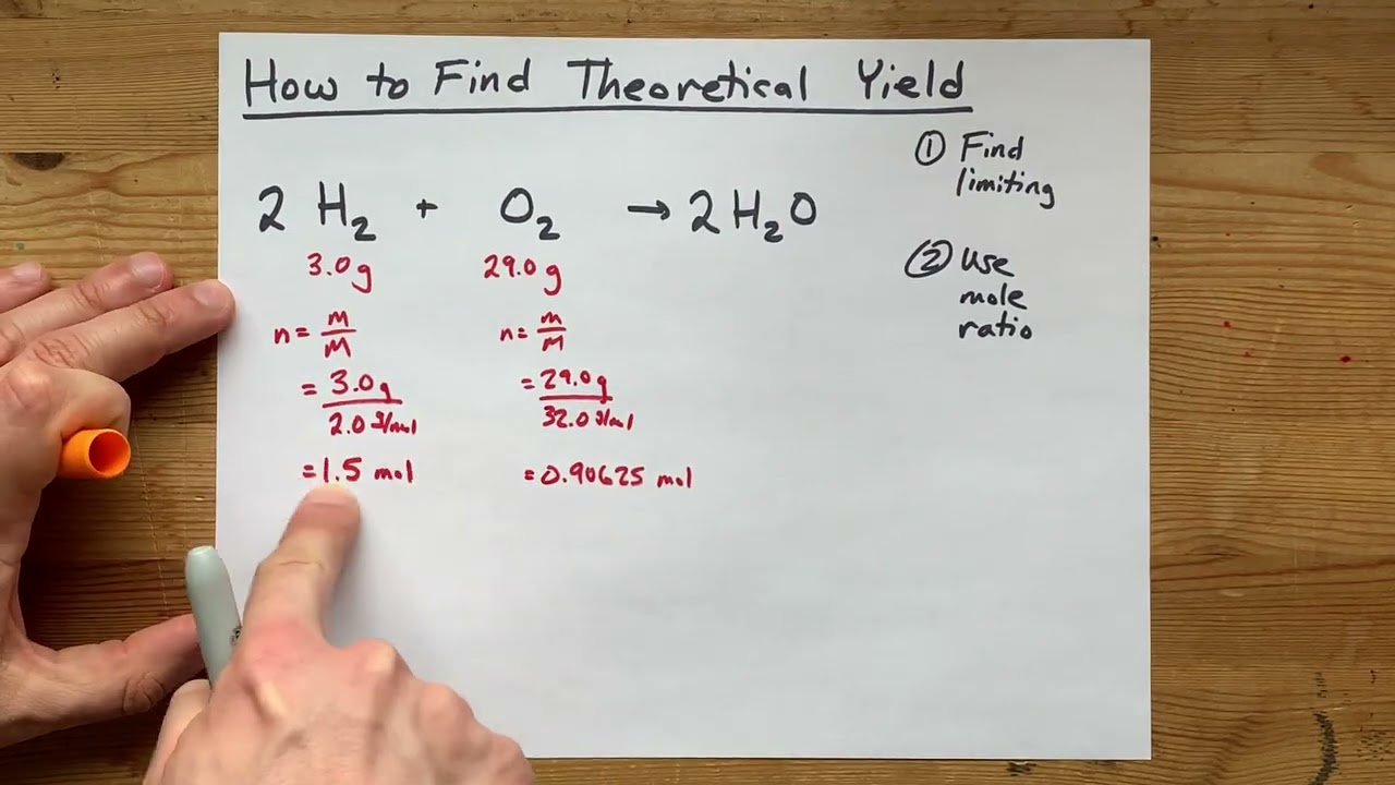How to Find Theoretical Yield (2023)