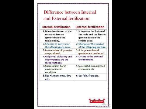 Difference between internal and external fertilization
