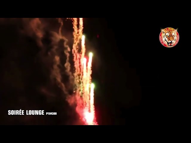 Feu d'artifice automatique SELECT PARTY Feu d'artifice automatique SELECT PARTY