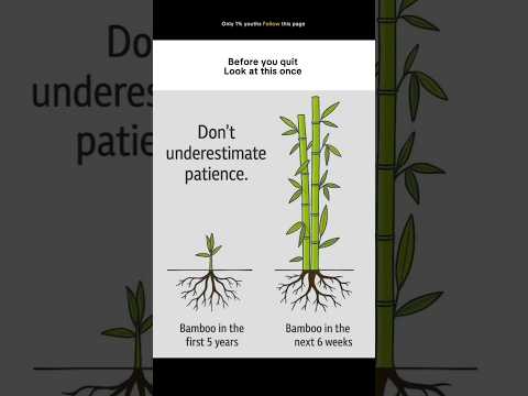 Patience is the key to success #motivation #video #english #ytshorts #quotes #poetry #new #trending
