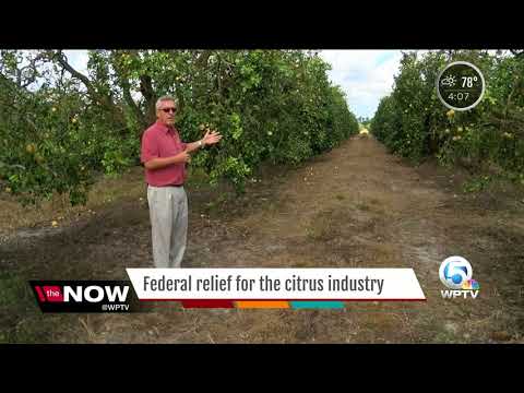 Federal Relief for the citrus industry