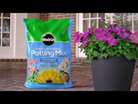How to Grow Flowers Twice as Big Using Miracle-Gro® Garden Soil for Flowers for In-Ground Gardening
