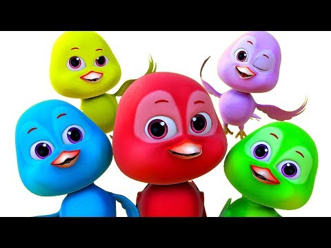 Learn Colors for Kids – Color Birds for Children – Happy Snappy TV ...