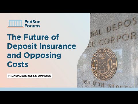 The Future of Deposit Insurance and Opposing Costs