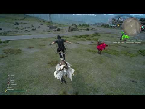Steam Community :: Video :: Extreme chocobo riding