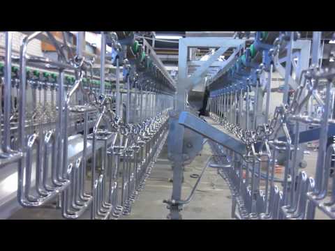 Use Poultry Tech Processing Plant 1000-2000-3000bph combination of new and used
