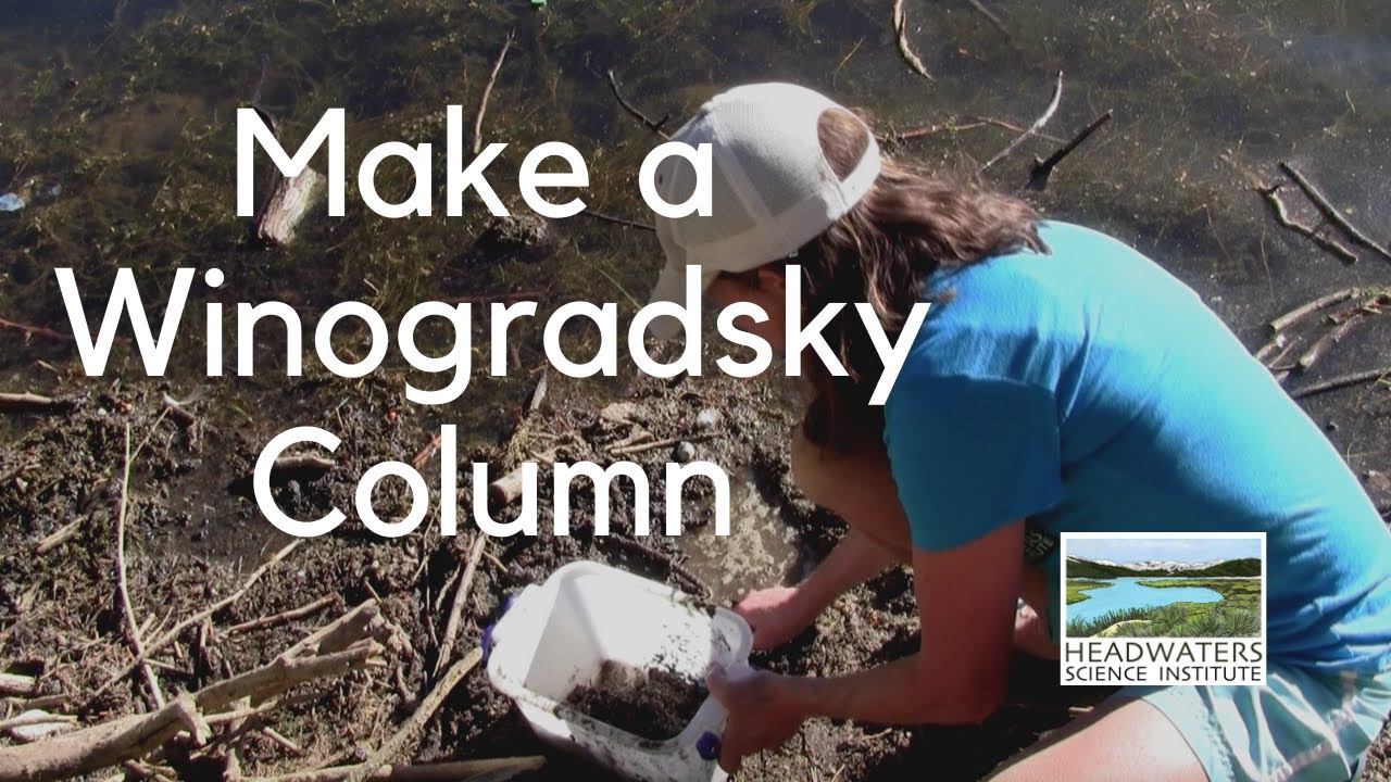 Weekly Science Challenge: Make a Winogradsky Column