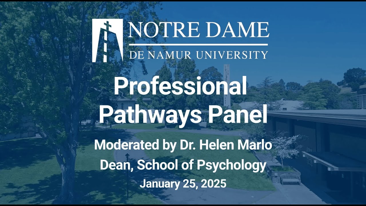 Professional Pathways Panel