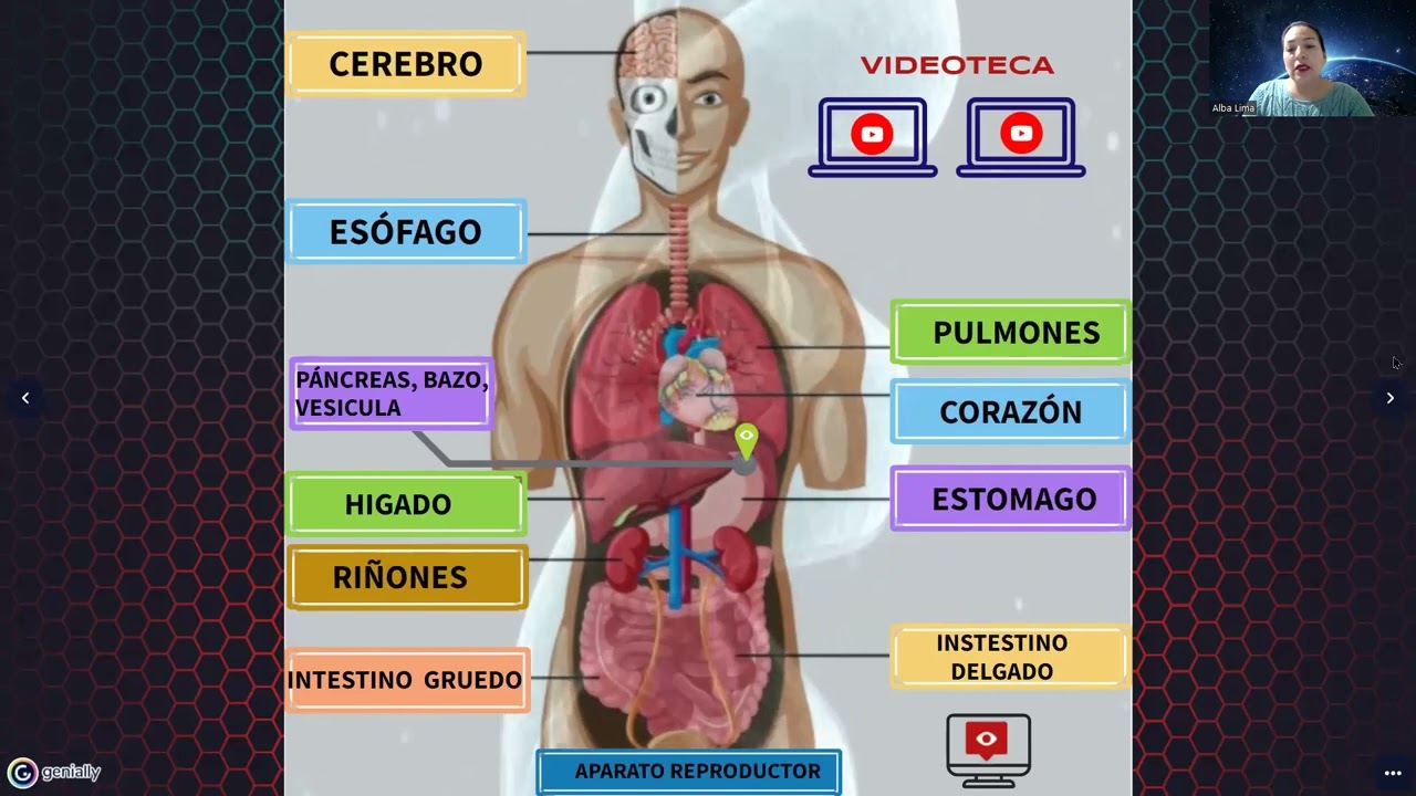 GENIALLY - EL CUERPO HUMANO