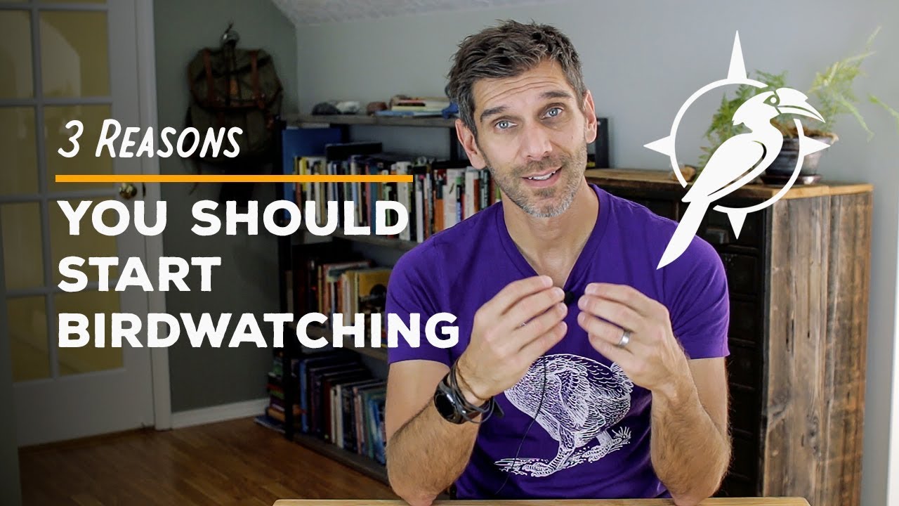 3 Reasons You Should Start Birdwatching