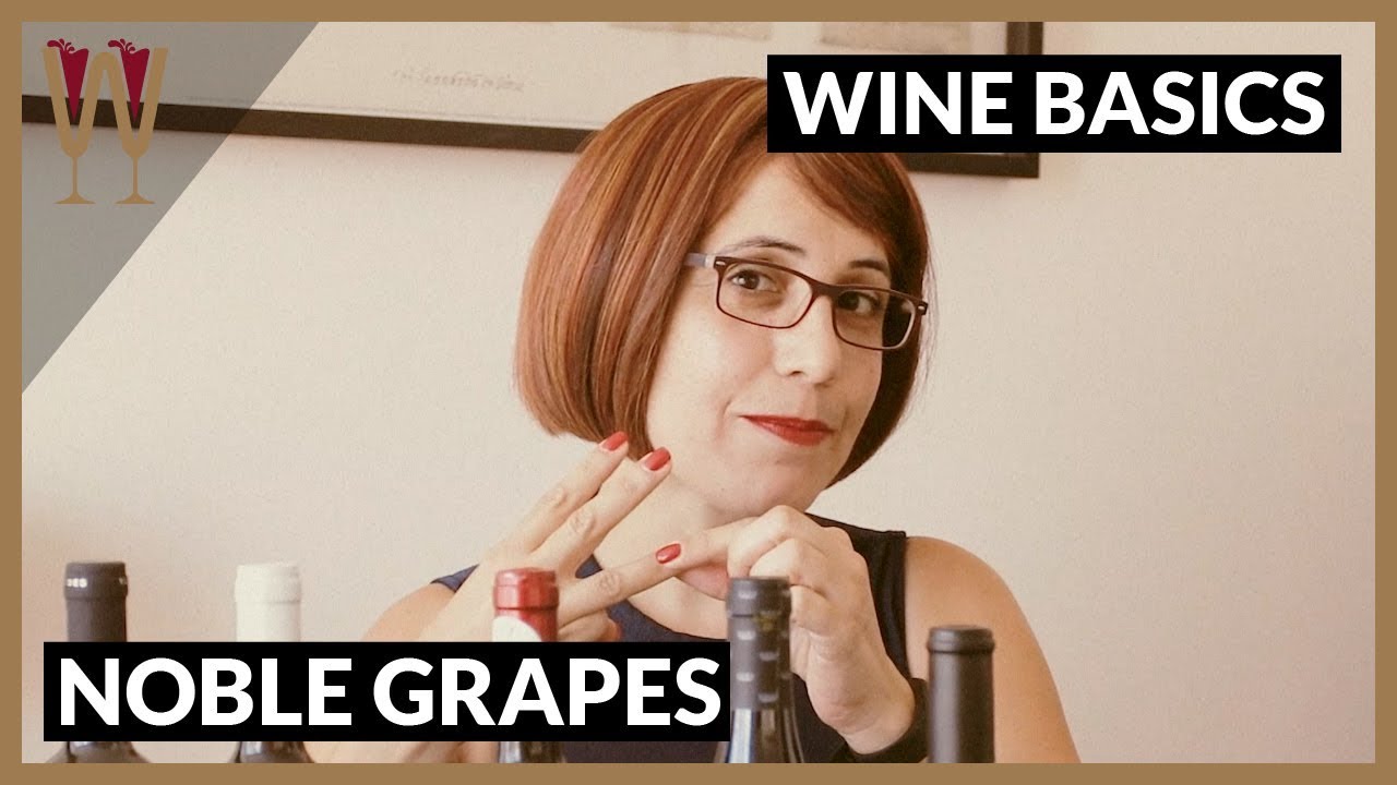 Introduction to the Noble Grapes