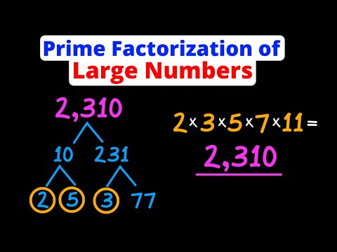 Finding Prime Factors of Large Numbers | Divisibility Rules | Eat Pi