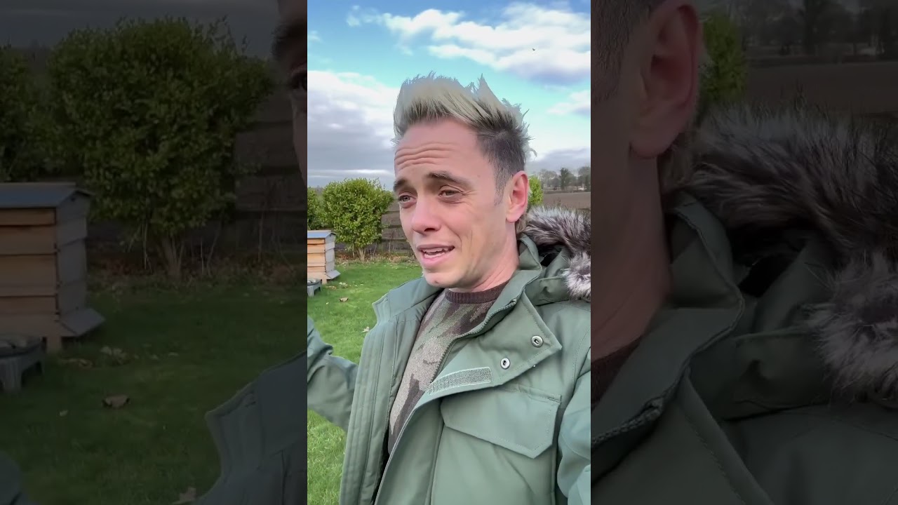 Is there trouble at the bee hive?! 🧐🚨‼️🥷🐝 #gardening #gardenanswer