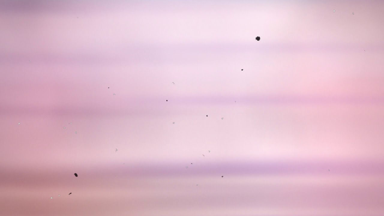 Circles | Sayuki Tokihara