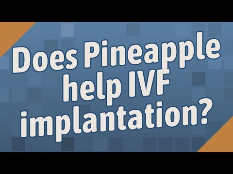 Does Pineapple help IVF implantation?