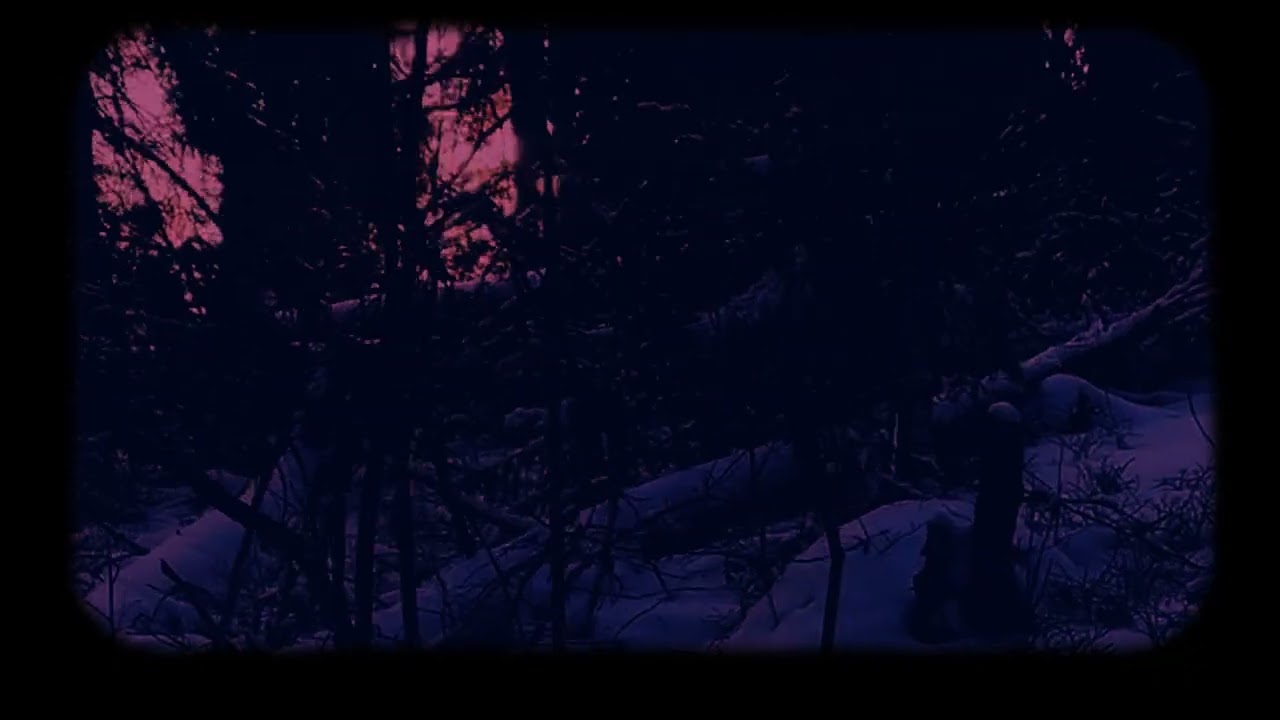 Hexvessel - Horse Tears [Official Visualizer]