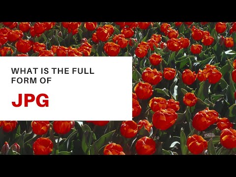 WHAT IS THE FULL FORM OF JPG #shorts