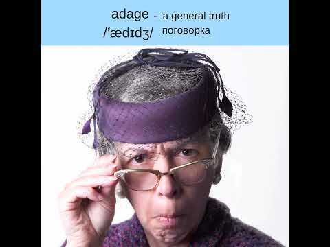 🤔?ADAGE #adage #english