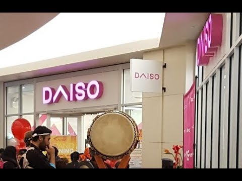 Daiso at Skyview Center Flushing Queens New York – Kin Tsui