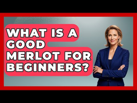 What Is A Good Merlot For Beginners? - France Fact File