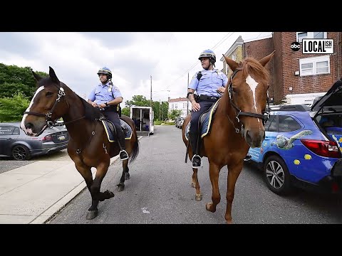 How Police Horses are Trained with the Philadelphia Mounted Police | Localish