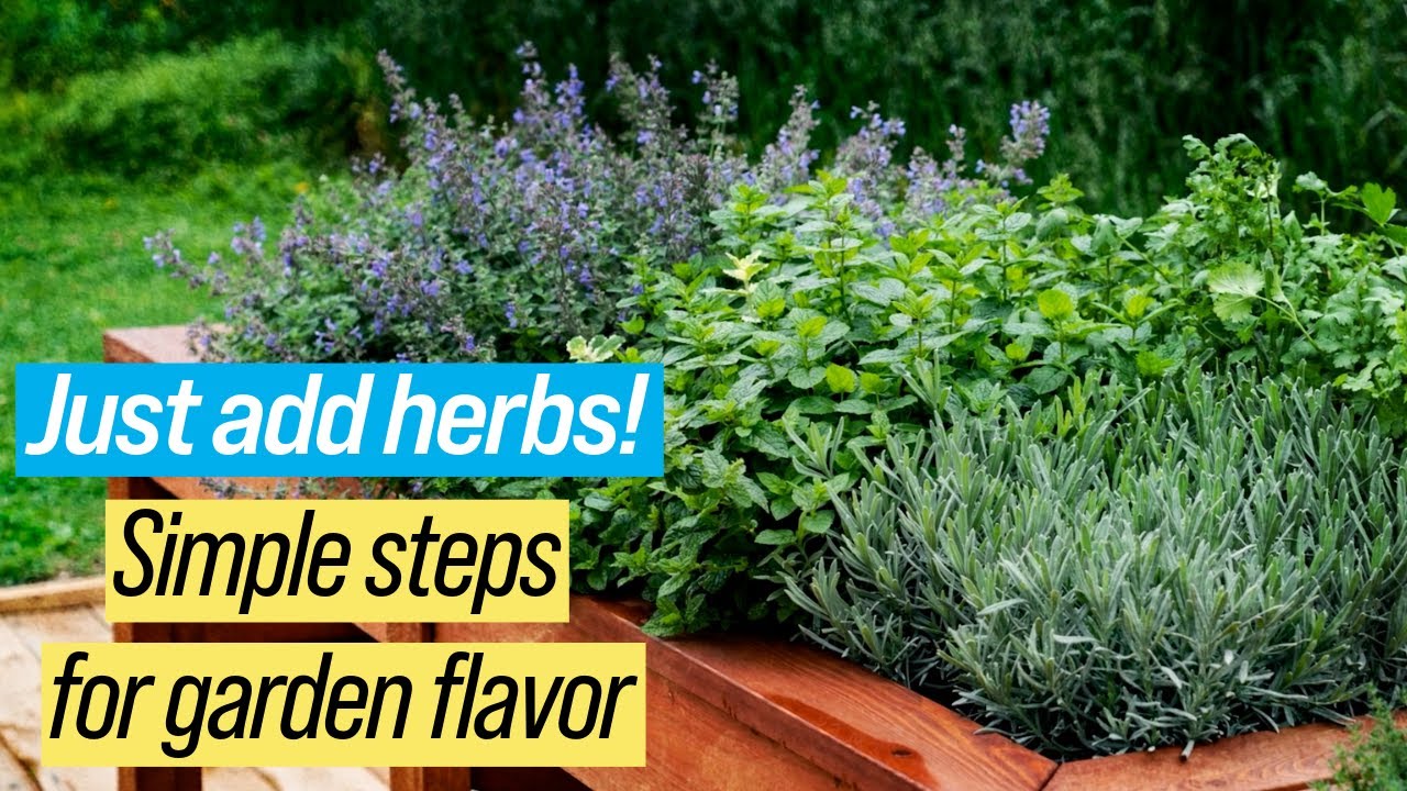 Growing herbs outdoors | Year-Round Gardening | garden tips