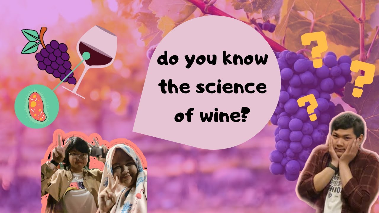 WINE: The Famous Fermented Beverage