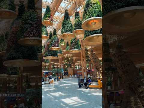 The Most Beautiful Airport In South Asia | Bengaluru | Lounge Guru