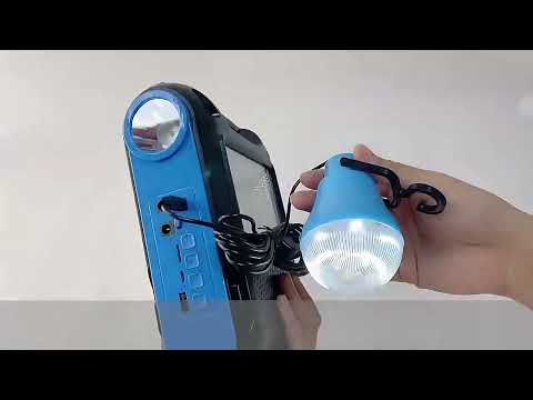 Solar Work Camp Light Bulb: the definitive guide