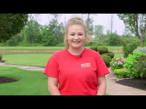 What Mulch Is Best For My Beds & Gardens