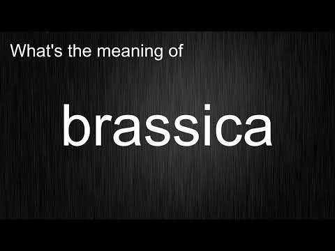 What's the meaning of "brassica", How to pronounce brassica?
