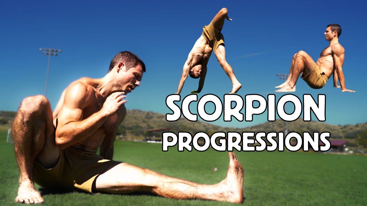 Scorpion Progressions - Animal Movement Tutorial