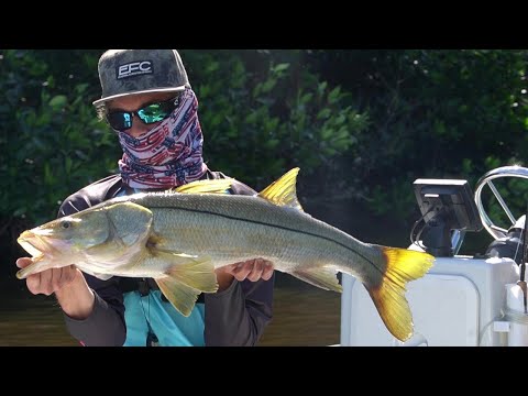 MONSTER SNOOK and UNCHARTED WATERS! Gheenoe LowTide 25 Fishing in Everglades City & Chokoloskee.