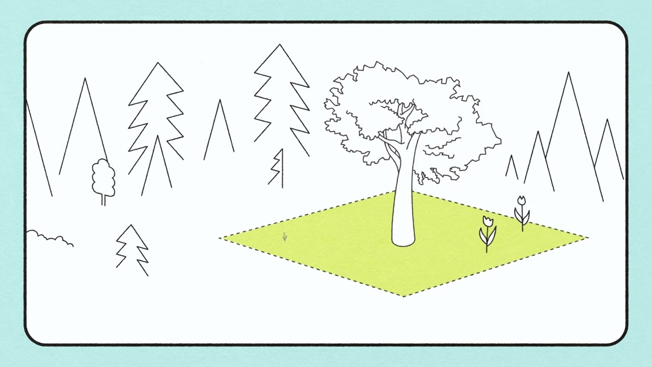 Preserving Green As We Grow: Public Tree Permits