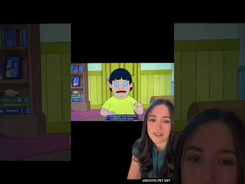 Vet Reacts to Bob’s Burgers Veterinarian Board Game