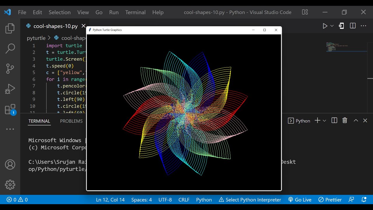 Python Turtle Graphics - 17 | Cool Shape Drawing | Python Turtle Coding Video |