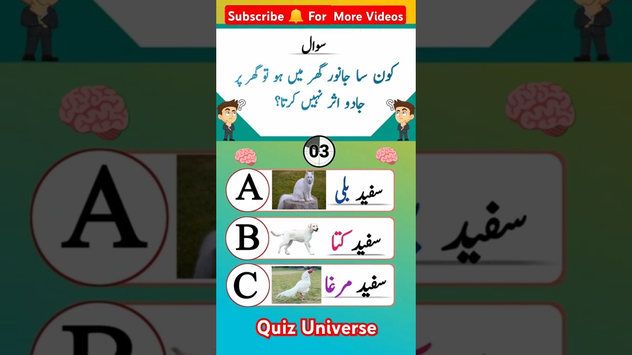 General Knowledge Quiz: Test Your IQ with These Questions 🧠