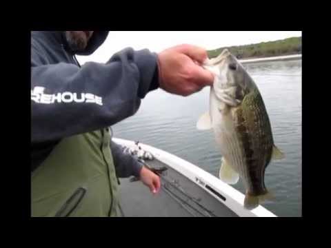 Ozark Finesse Jig Heads for Great Springtime Bass Fishing on Table Rock Lake