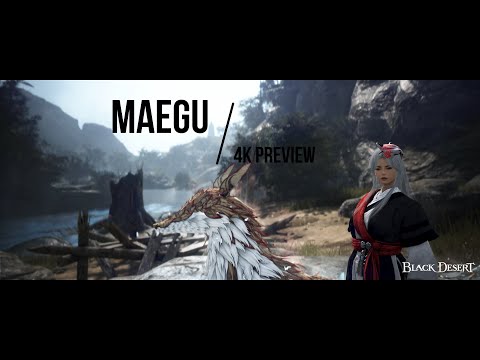 Steam Community :: Video :: Black Desert Class Maegu 4k