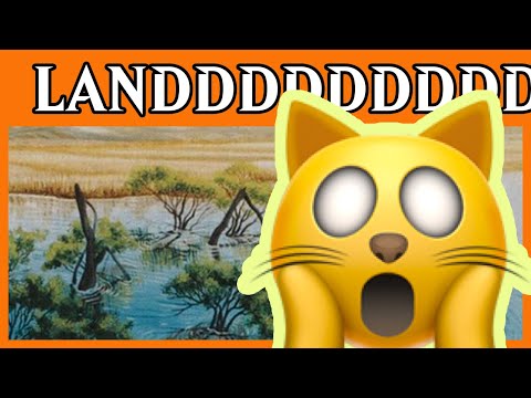 Fetch Lands Chaos Bundle • Magic The Gathering