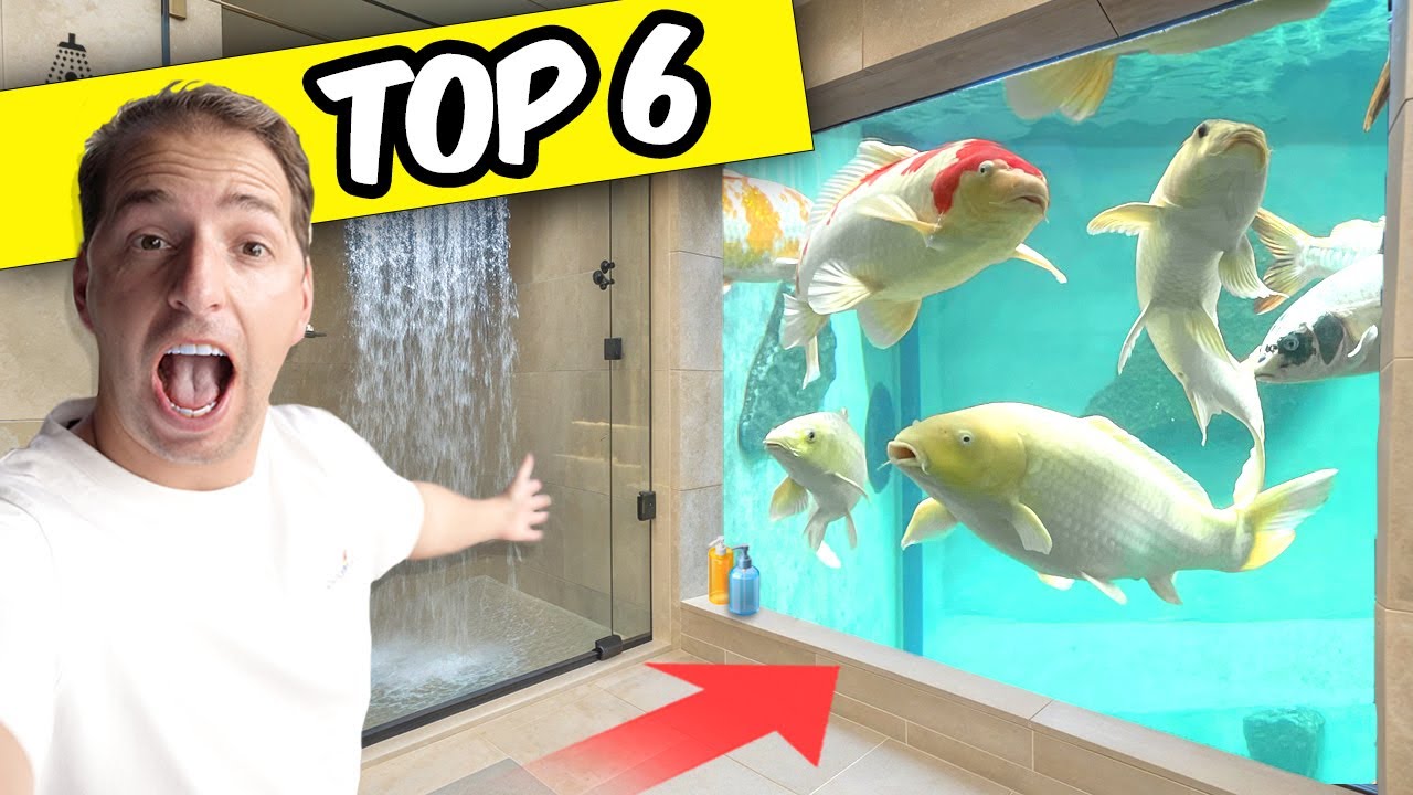 World's Most Beautiful Backyard Ponds (Top 6)