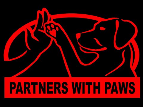 Brian – Partners with Paws