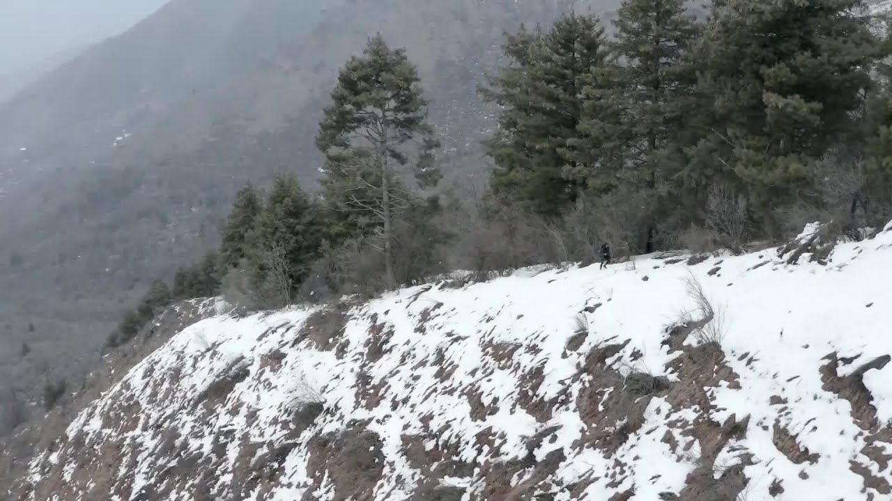 Inspiring Climate Action Through Storytelling