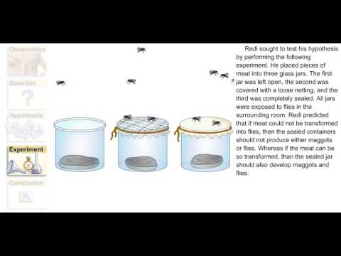 Science as process discovered by Italian and French