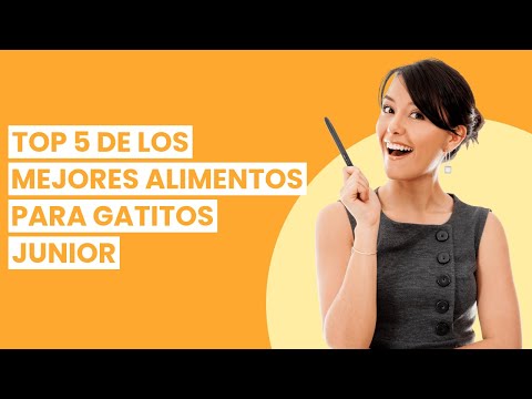 COMIDA GATOS JUNIOR: Top 5 de los mejores alimentos para gatitos junior
