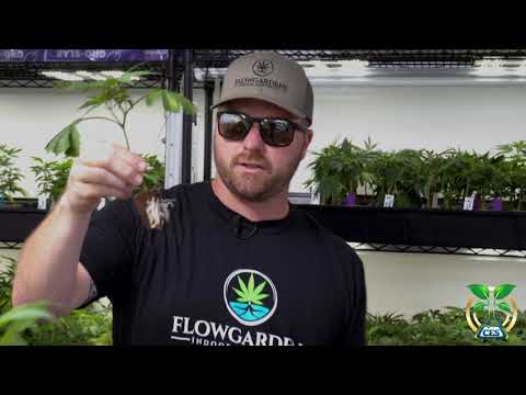 Cutting Edge Solutions Tours Flow Gardens