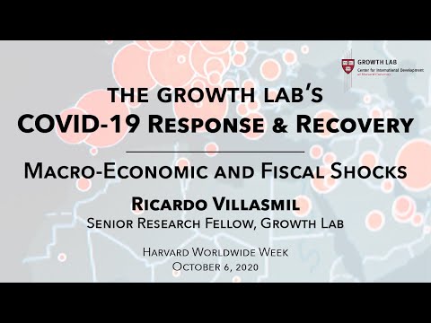 COVID-19 Task Force: Analyzing Macro-Economic and Fiscal Shocks