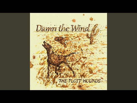 Winding Roads